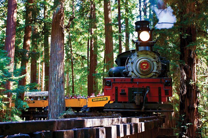 Redwood Forest, Santa Cruz Harbor 1-Day Trip from San Francisco - Exploring the Redwood Forest and Santa Cruz Harbor: An Honest Review of the 1-Day Trip from San Francisco