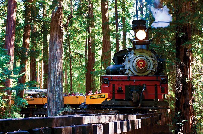 Redwood Forest, Santa Cruz Harbor 1-Day Trip from San Francisco - Climate and Packing Tips
