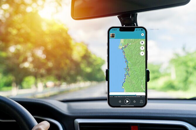 Redwood National Park Self-Guided Audio Tour - An In-Depth Look at the Redwood Self-Guided Audio Tour