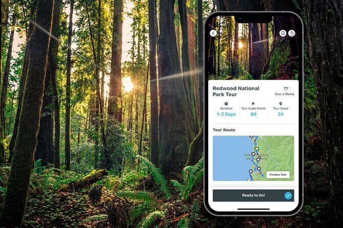 Redwood National Park Self-Guided Audio Tour - What The Reviews Say