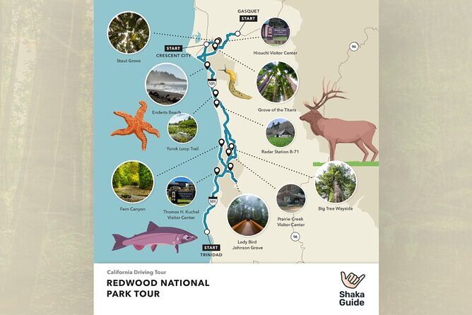 Redwood National Park Self-Guided Audio Tour - Evaluating the Value