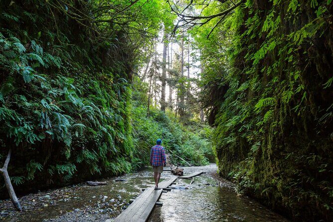 Redwood National Park Self-Guided Audio Tour - FAQ
