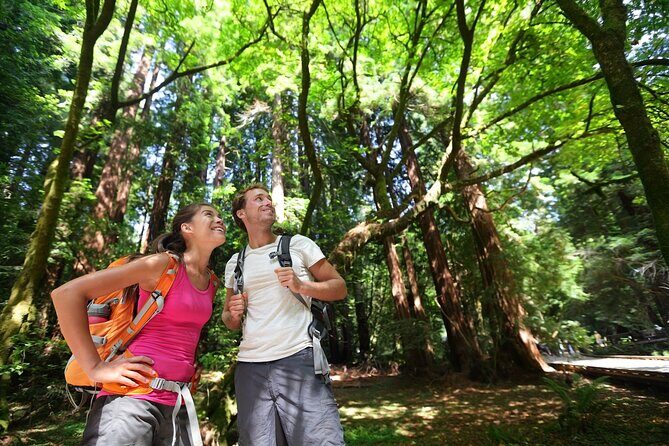 Redwood Retreat: Tour to Muir Woods from San Francisco - What to Expect from the Redwood Retreat Tour