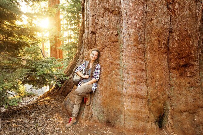 Redwood Retreat: Tour to Muir Woods from San Francisco - The Sum Up