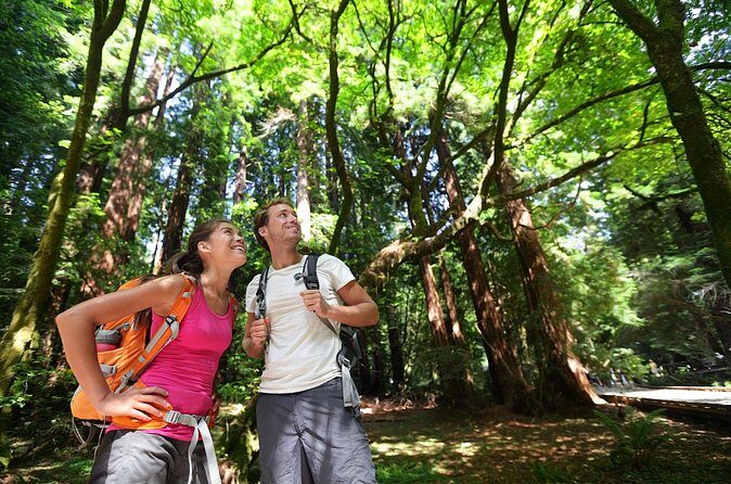 Redwood Retreat: Tour to Muir Woods from San Francisco - FAQs