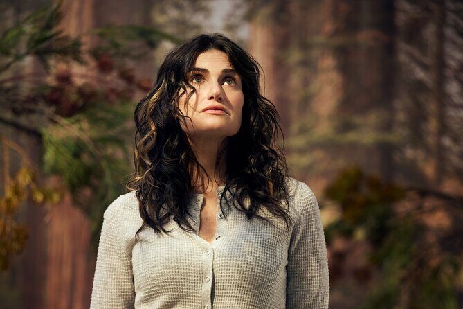 Redwood Starring Idina Menzel on Broadway Ticket - Key Points: