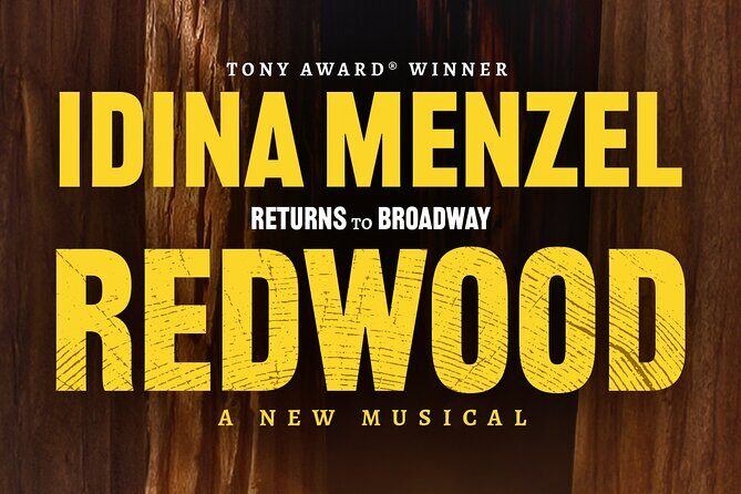 Redwood Starring Idina Menzel on Broadway Ticket - What is Redwood and what makes it worth considering?