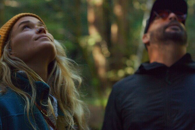 Redwoods Forest Bathing - The Sum Up