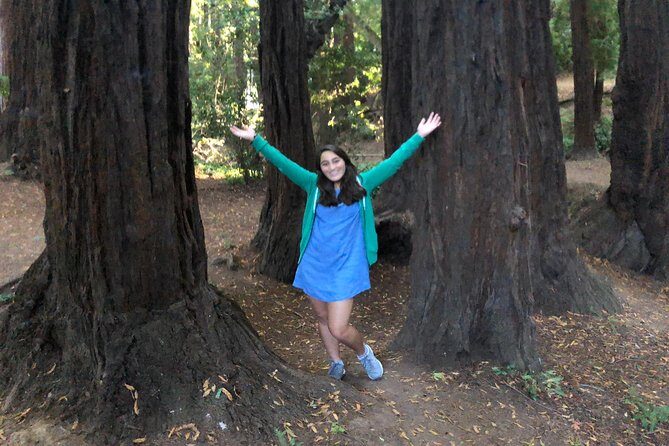 Redwoods of Marin and Mt. Tamalpais Walking Tour with Local Guide - An Authentic Redwoods Experience from Sausalito