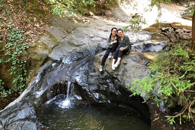 Redwoods of Marin and Mt. Tamalpais Walking Tour with Local Guide - Practicalities and What to Expect