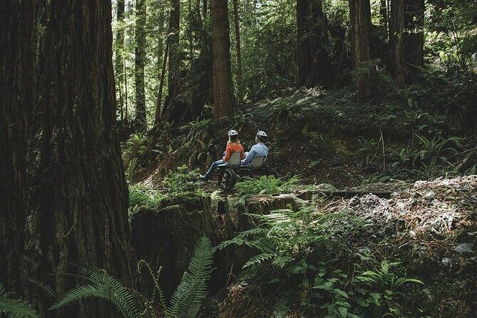Redwoods Railbike Along Pudding Creek - An In-Depth Look at the Redwoods Railbike Experience