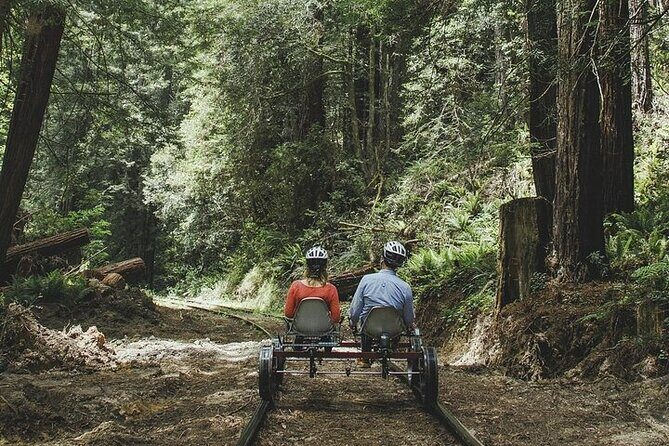 Redwoods Railbike Along Pudding Creek - Why This Tour Is Perfect for You