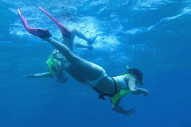 Reef and Turtle Adventure - Kayak and Snorkel Tour - Key Points