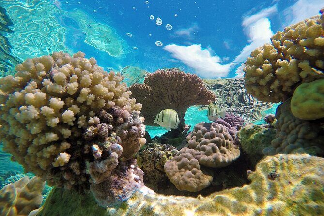 Reef Discovery Luxury Private Snorkeling Lagoon Tour - The Itinerary in Detail: Why It Matters