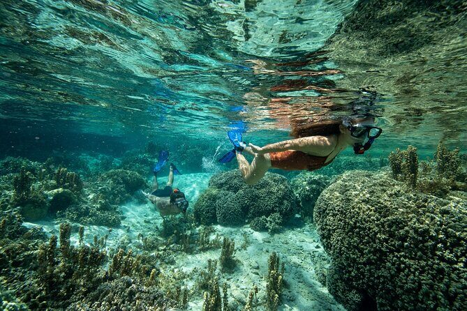 Reef Discovery Luxury Private Snorkeling Lagoon Tour - Authenticity and Uncrowded Recreation