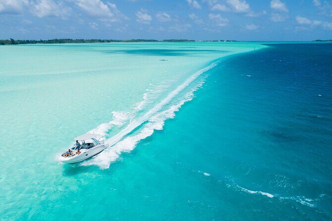 Reef Discovery Private Dream Day Tour - Experience the Reef Discovery Private Dream Day Tour: A Detailed Review