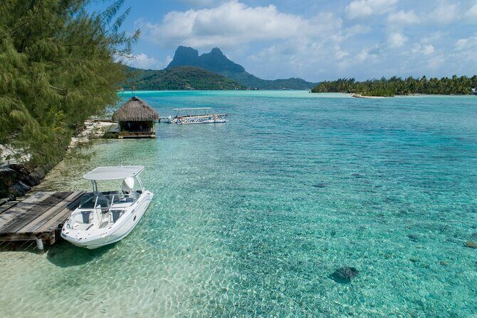 Reef Discovery Private Dream Day Tour - Who is This Tour Best For?