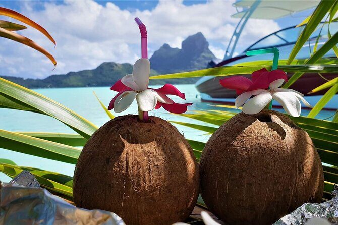 Reef Discovery Private Full Day Lagoon Tour & Water Lunch - Who Will Love This Tour?