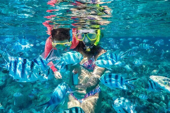 Reef Discovery Private Treasure Hunt - Who Will Love This Tour?