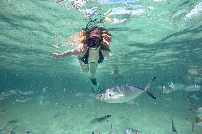 Reef Explorer Half Day Trip - The Sum Up