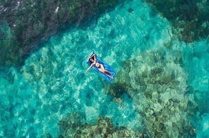 Reef Explorer Half Day Trip - FAQs