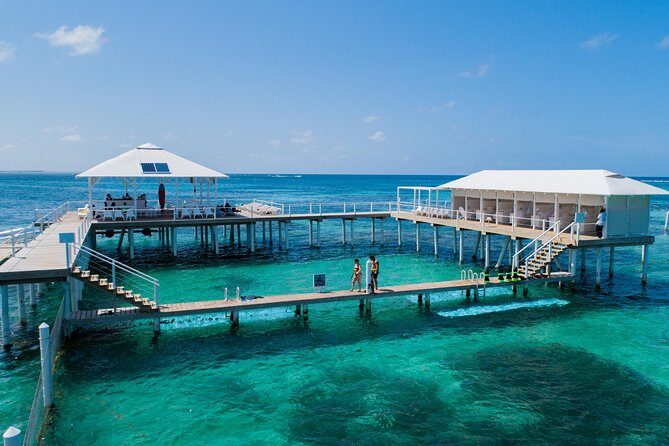 Reef Explorer Multiple activity Excursion from Punta Cana by Marinarium - What the Reef Explorer Tour Offers