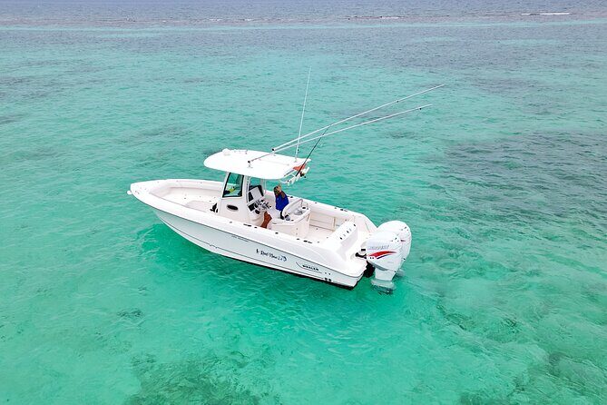 Reef Fishing Adventure Over Coral Reefs - Key Points