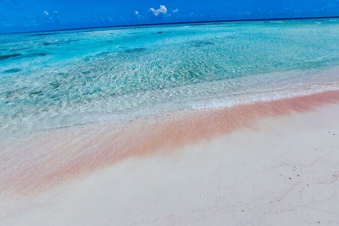 REEF ISLAND | private island | pink sand | natural swimming pools - A Deep Dive into the Reef Island Tour Experience