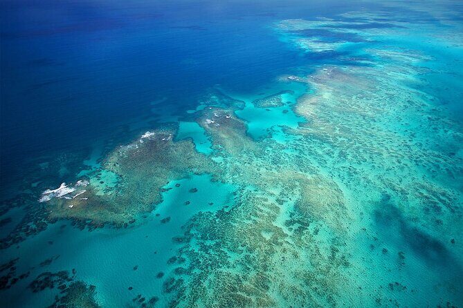 Reef Rainforest Fusion - 45 Minute Reef and Rainforest Flight - The Sum Up