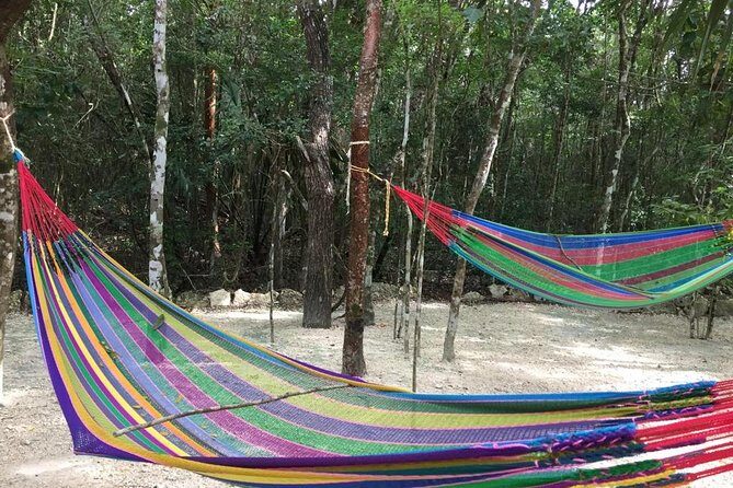 Reef Snorkel + 3 Cenotes with local food experience! - A Detailed Look at the Tour Experience