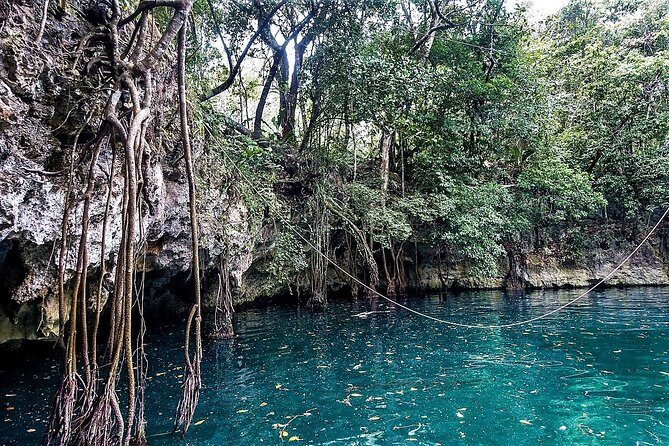 Reef Snorkel + 3 Cenotes with local food experience! - FAQ