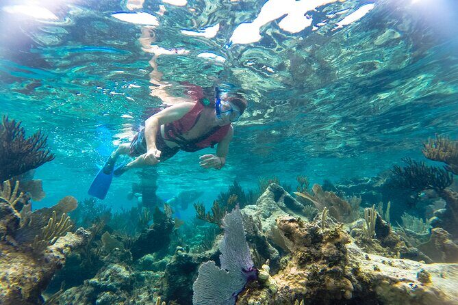 Reef Snorkel and Cenote Experience - Key Points