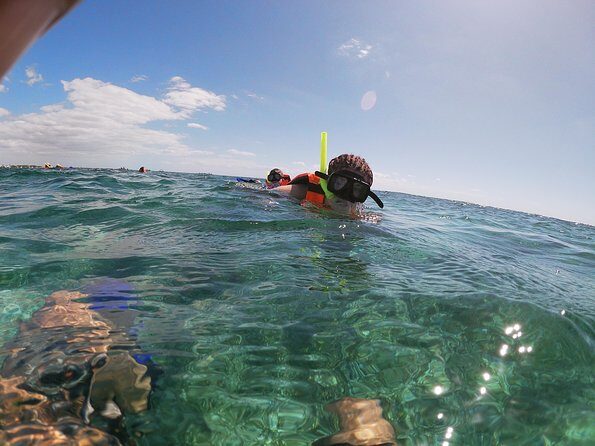 Reef Snorkel In National Park In Puerto Morelos With Lunch And Transportation - Who Should Consider This Tour?