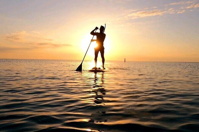 Reef Snorkel & Ocean Paddle Adventure in Fort Lauderdale Beach - FAQ