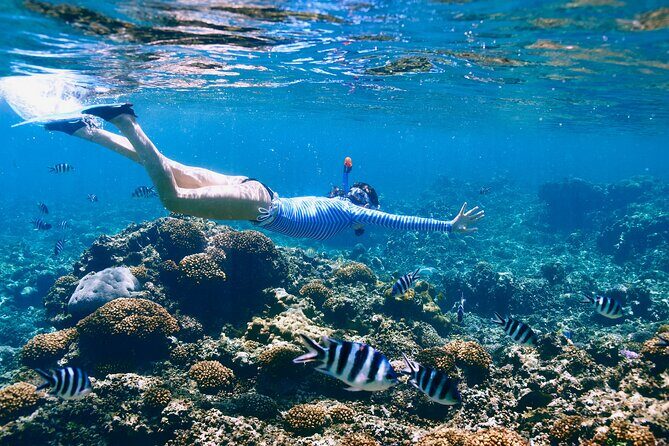 Reef Snorkeling with ATV, Zipline, Cenote that includes lunch and transportation - What to Expect on This Adventure-Filled Day