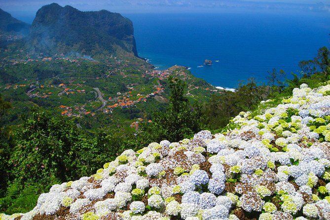 Referta Castelejo Levada Walk from Funchal - Overview of the Referta Castelejo Levada Walk