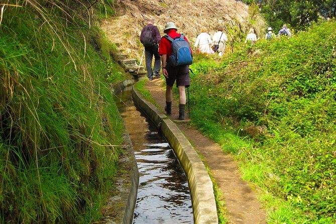 Referta Castelejo Levada Walk from Funchal - What Travelers Say: Authentic Perspectives