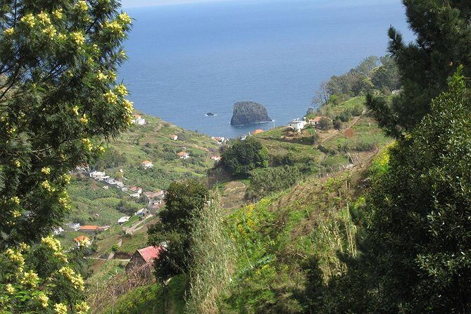 Referta Castelejo Levada Walk from Funchal - Practical Tips for a Smooth Experience