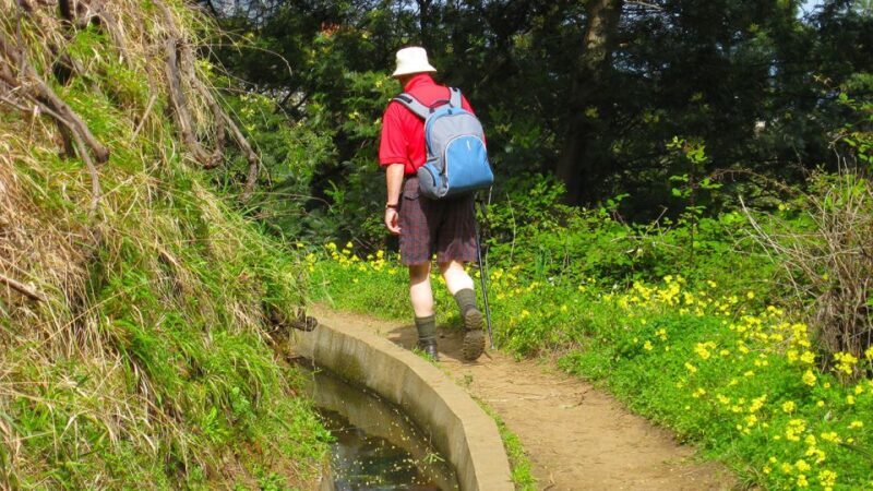 Referta / Castelejo - Levada Walk - Highlights and Scenic Points