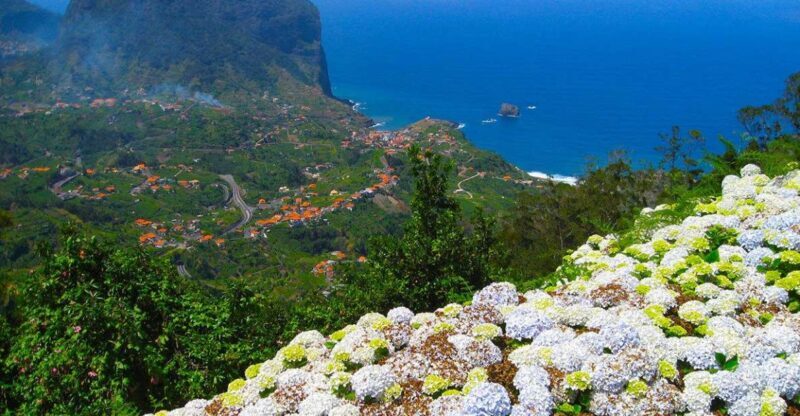 Referta / Castelejo - Levada Walk - Authentic Experiences That Matter