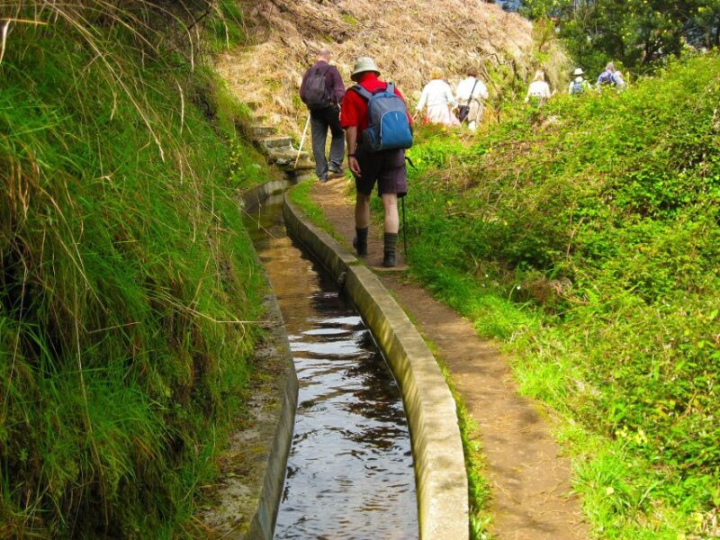 Referta / Castelejo - Levada Walk - Practical Considerations and Tips