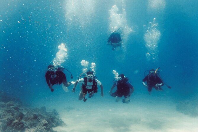 Refresher Scuba Dive - FAQ