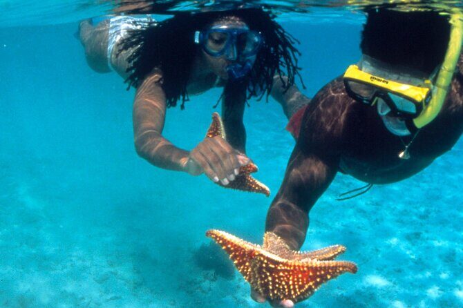 Reggae Rafting Experience with Power Snorkel Party Cruise - Exploring Montego Bay’s Water and Culture: The Complete Experience