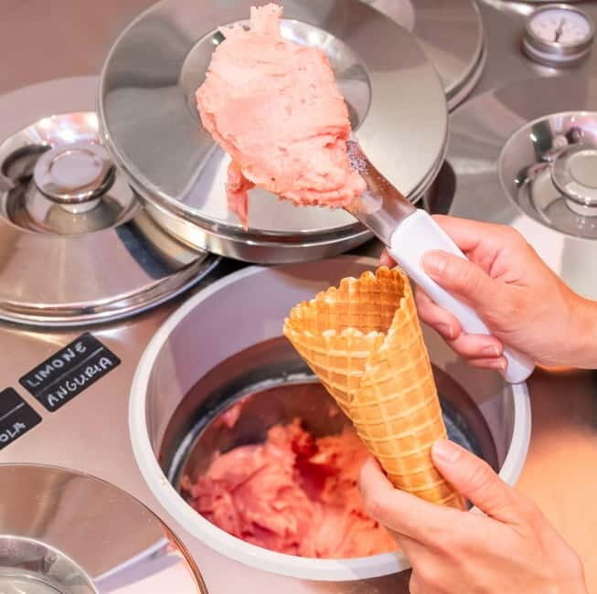 Reggio Emilia: Gelato Making Class with Tasting Experience - Who Will Love This Experience?