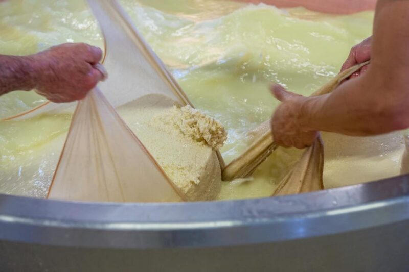 Reggio Emilia: Parmigiano Reggiano & Balsamic Vinegar Tour - Key Points