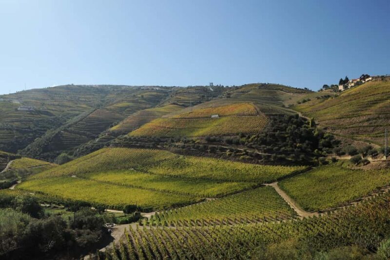 Régua: Pocinho Train Ride and Iconic Douro Dams Cruise - Authentic Experience and Real-World Feedback
