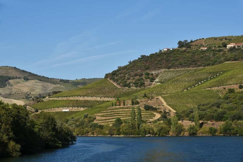 Régua to Pinhão Scenic Douro Cruise - A Detailed Look at the Régua to Pinhão Scenic Douro Cruise