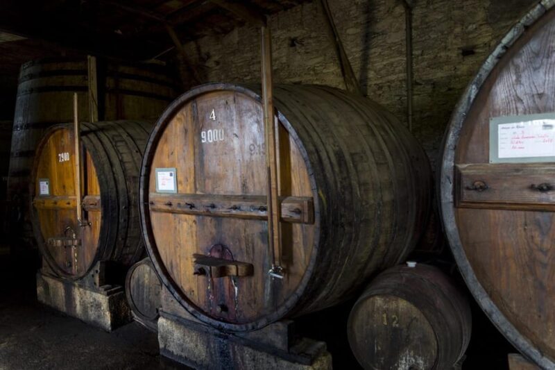 Régua: Wine Tasting at a Farm, Traditional Lunch, Cruise and Train - Key Points