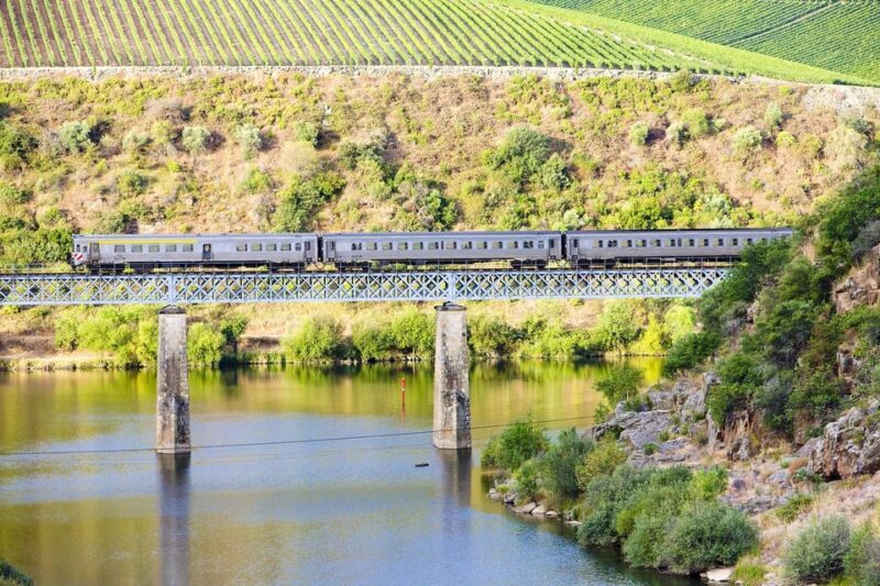 Régua: Wine Tasting at a Farm, Traditional Lunch, Cruise and Train - What Some Travelers Say