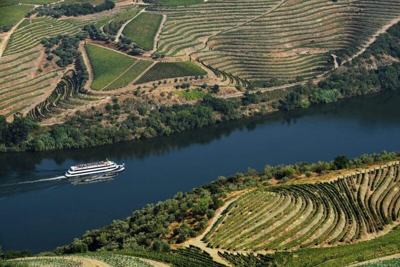 Régua: Wine Tasting at a Farm, Traditional Lunch, Cruise and Train - Final Thoughts